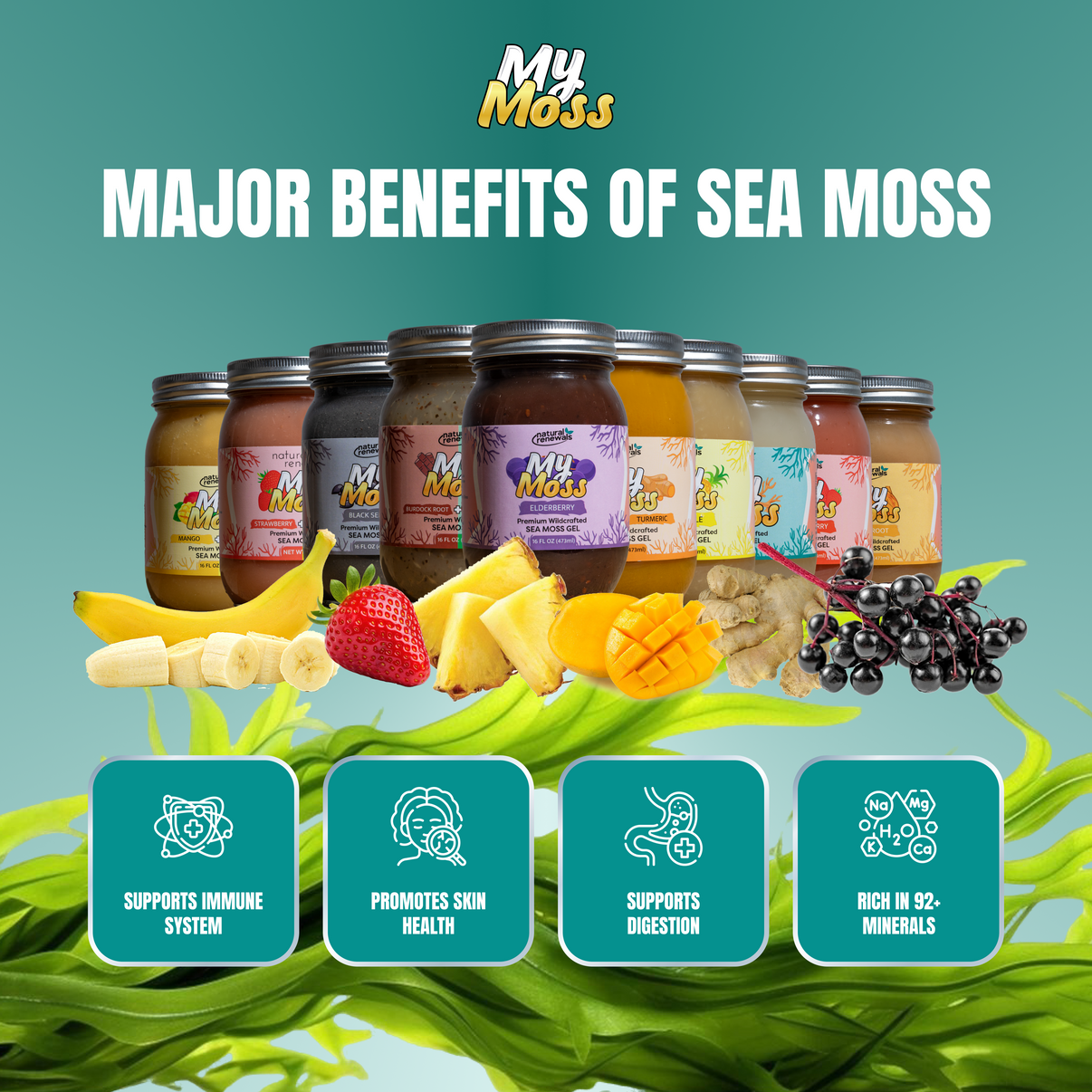 "My Moss" Sea Moss Flavor Gel - 16oz – Natural Renewals