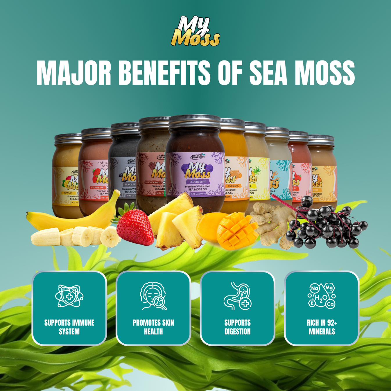 "My Moss" Sea Moss Flavor Gel - 16oz – Natural Renewals